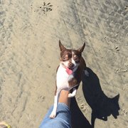 LIPS - Updated March 2025 - 12 Photos & 17 Reviews - Calle la Hija del ...