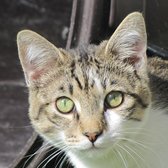 LABCORP - Updated December 2025 - 37 Photos & 143 Reviews - 3504 S St ...