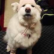 THE BURROW - Updated December 2025 - 42 Photos & 27 Reviews - 7053 10th ...