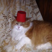 MAPFRE INSURANCE - Updated October 2025 - 20 Photos & 480 Reviews - 11 ...