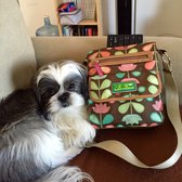 MINNIE GANT ELEMENTARY SCHOOL - Updated January 2026 - 10 Reviews ...