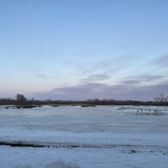 BAY PARK SQUARE - Updated March 2025 - 35 Photos & 16 Reviews - 303 Bay ...