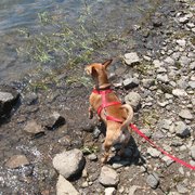 THREE RIVERS MALL - Updated September 2025 - 21 Photos & 31 Reviews ...