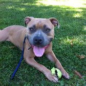 SWEET TWEETS BAKESHOP - Updated July 2025 - 700 Photos & 123 Reviews ...