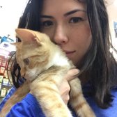 ANDERSON COUNTY PAWS - 1320 Hwy 29 S, Anderson, South Carolina ...