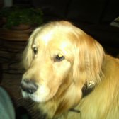 RUDDER ROOM - 89 Photos & 144 Reviews - Dive Bars - 2929 Ocean Dr ...