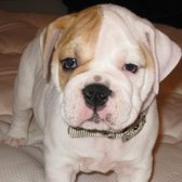 SCHAUMBURG TOWNSHIP DISTRICT LIBRARY - Updated November 2025 - 59 ...