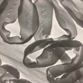 JAVA JOHNS - 77 Photos & 50 Reviews - 306 Broad St, Nevada City, CA - Yelp