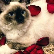 LA COUNTY LIBRARY - WEST COVINA LIBRARY - 76 Photos & 57 Reviews - 1601 ...