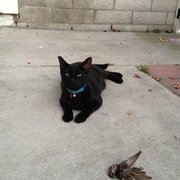 DUNFORD BAKERS - Updated August 2025 - 46 Photos & 94 Reviews - 8556 S ...