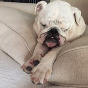 RICKI’S COOKIE CORNER - Updated September 2025 - 59 Photos & 50 Reviews ...