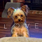 BONANDER GMC - Updated January 2026 - 13 Photos & 45 Reviews - 231 S ...