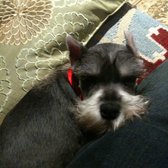 MERRICK LIBRARY - Updated October 2025 - 10 Reviews - 2279 Merrick Ave ...