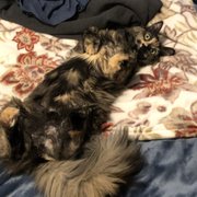 SENOR FROGGY - Updated October 2025 - 14 Photos & 40 Reviews - 10521 E ...