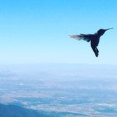 MELLO DAVID MD - Updated October 2025 - 71 Reviews - 1818 Verdugo Blvd ...