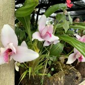 SAFEWAY - Updated April 2026 - 51 Photos & 67 Reviews - 6850 NE Bothell ...