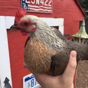 RURAL KING - Updated January 2026 - 28 Photos & 20 Reviews - 10400 ...