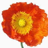 NEE HOW CHINESE FOOD MARKET - 28 Photos & 20 Reviews - 23843 Lorain Rd ...