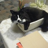 PARDON GRAY PRESERVE - Updated April 2025 - 43 Photos & 10 Reviews - Rt ...