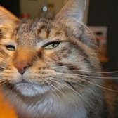 PHILADELPHIA EYE ASSOCIATES - Updated November 2025 - 31 Reviews - 1930 ...