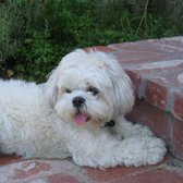 VALLEY HEALTH CENTER AT TULLY - Updated January 2026 - 22 Photos & 41 ...