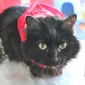 ETTNER M FREDERIC, MD - Updated December 2025 - 19 Reviews - 7126 N ...