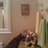 CHICKEN RANCH BROTHEL - Updated January 2026 - 53 Photos & 60 Reviews ...