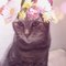 PEPPERS - Updated May 2026 - 45 Photos & 136 Reviews - 4488 Socastee ...