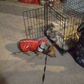 TARGET - Updated October 2025 - 51 Photos & 52 Reviews - 12130 ...