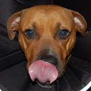 FITZGERALD CHEVROLET FREDERICK - Updated August 2025 - 70 Photos & 134 ...