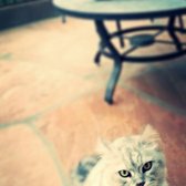 ROSEVILLE DMV OFFICE - Updated December 2025 - 84 Photos & 273 Reviews ...