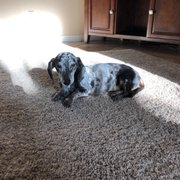 WINCO FOODS - Updated January 2026 - 57 Photos & 145 Reviews - 42-600 ...