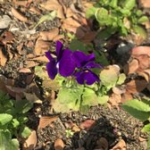 YU MEDICAL GROUP - Updated January 2026 - 12 Photos & 34 Reviews - 9730 ...