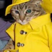 MAGIC 106.7 WMJX-FM - 15 Reviews - 55 Willim T Mrrssy Blvd, Dorchester ...