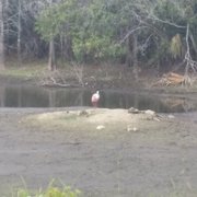 ALVA VILLAGE MARKET - Updated December 2025 - 15 Photos & 28 Reviews ...