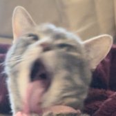 KPOT KOREAN BBQ & HOT POT - Updated November 2024 - 134 Photos & 57 ...