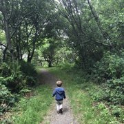 SENSEABILITIES - 22 Reviews - Speech Therapists - 6800 Brocton Ave ...