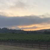 SINDU PILLAI, MD - Updated December 2025 - 40 Reviews - 28078 Baxter Rd ...