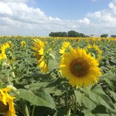 FIRST BAPTIST RICHARDSON - Updated August 2025 - 13 Reviews - 1001 N Central Expy, Richardson ...