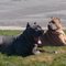 PET HARBOR - Updated March 2025 - 22 Photos & 29 Reviews - 328 W ...