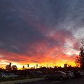 ALAN M BERG, MD - Updated April 2026 - 12 Photos & 120 Reviews - 13320 ...