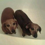 FREEDOM CLASSICAL ACADEMY - Updated December 2025 - 30 Reviews - 777 E ...