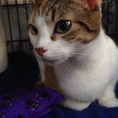 FREDERICK GASTROENTEROLOGY ASSOCIATES - Updated November 2025 - 17 ...