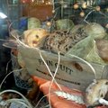 FRESH MADISON MARKET - Updated December 2025 - 23 Photos & 74 Reviews ...