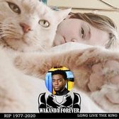 ON RYE DELI - 16 Photos & 41 Reviews - 119 Washington St, Norwell ...