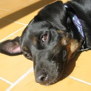 CAMBRIDGE INSIGHT MEDITATION CENTER - Updated October 2025 - 21 Reviews ...