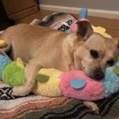 THEMA HEALTH SERVICES - Updated December 2025 - 16 Photos & 17 Reviews ...