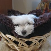 ROOTVISION ENDO - Updated January 2026 - 54 Photos & 212 Reviews - 3663 ...