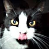 KROGER - Updated October 2025 - 40 Photos & 102 Reviews - 2875 N ...