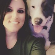 DIP SEAFOOD - MUDBUGS - Updated March 2025 - 37 Photos & 39 Reviews ...